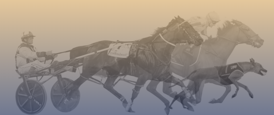 Home - Racing Integrity Board